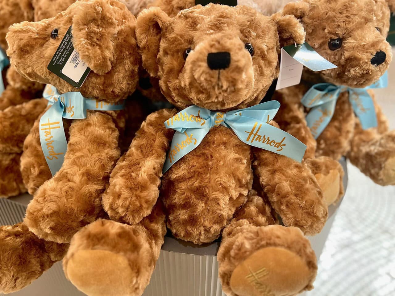 The Famous Harrods Teddy Bears | Plate & Place